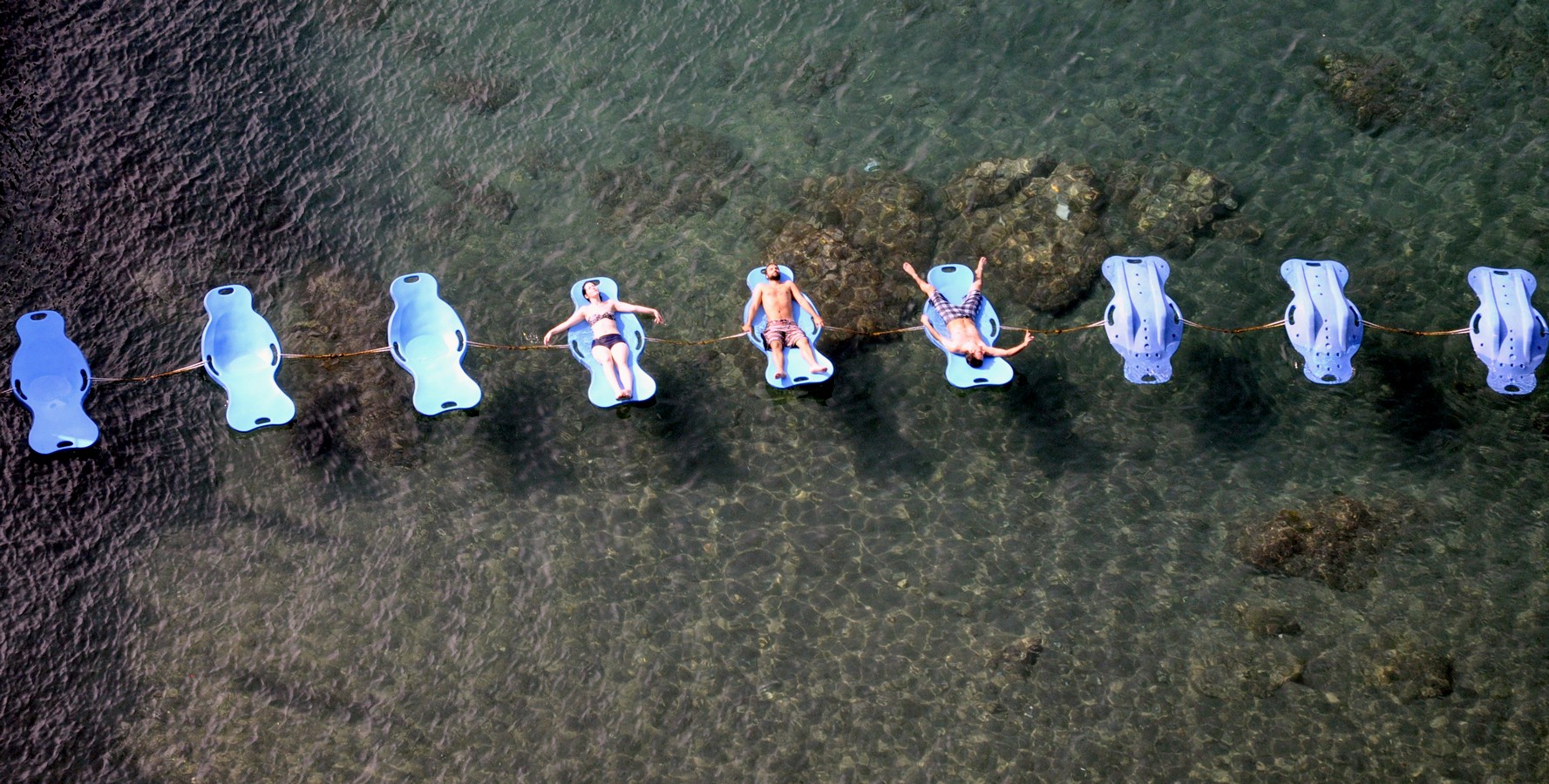 תמונות וצילומים של bnbvnvbn bngvfbcbnc | תמונות יפות לעיצוב הבית או המשרד