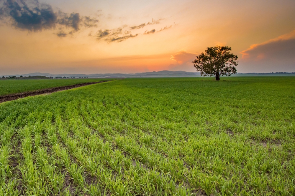 Ronit Yehudai Maymon | תמונות שצולמו במצלמה NIKON D810
