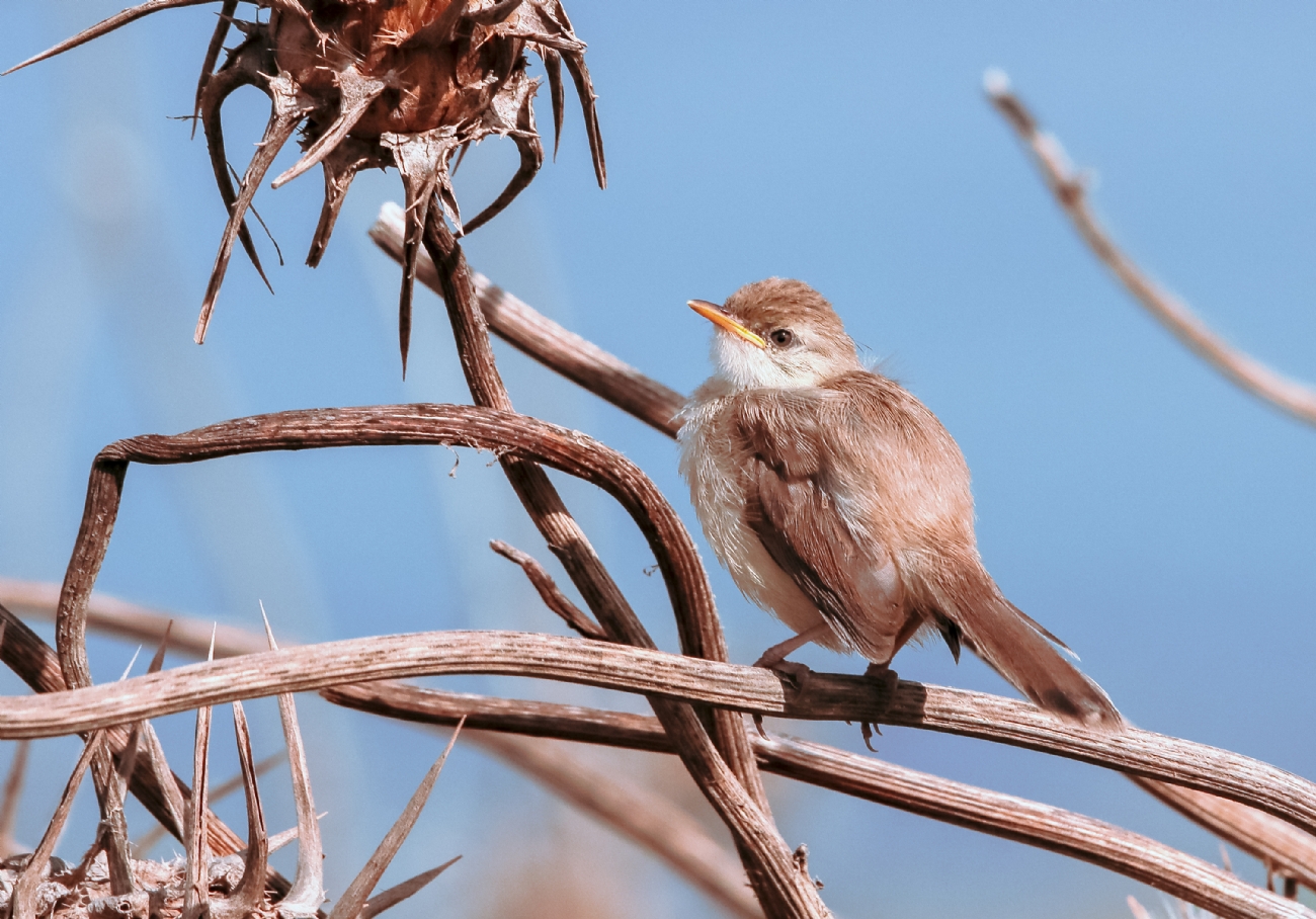 חדשות מעולם הצילום