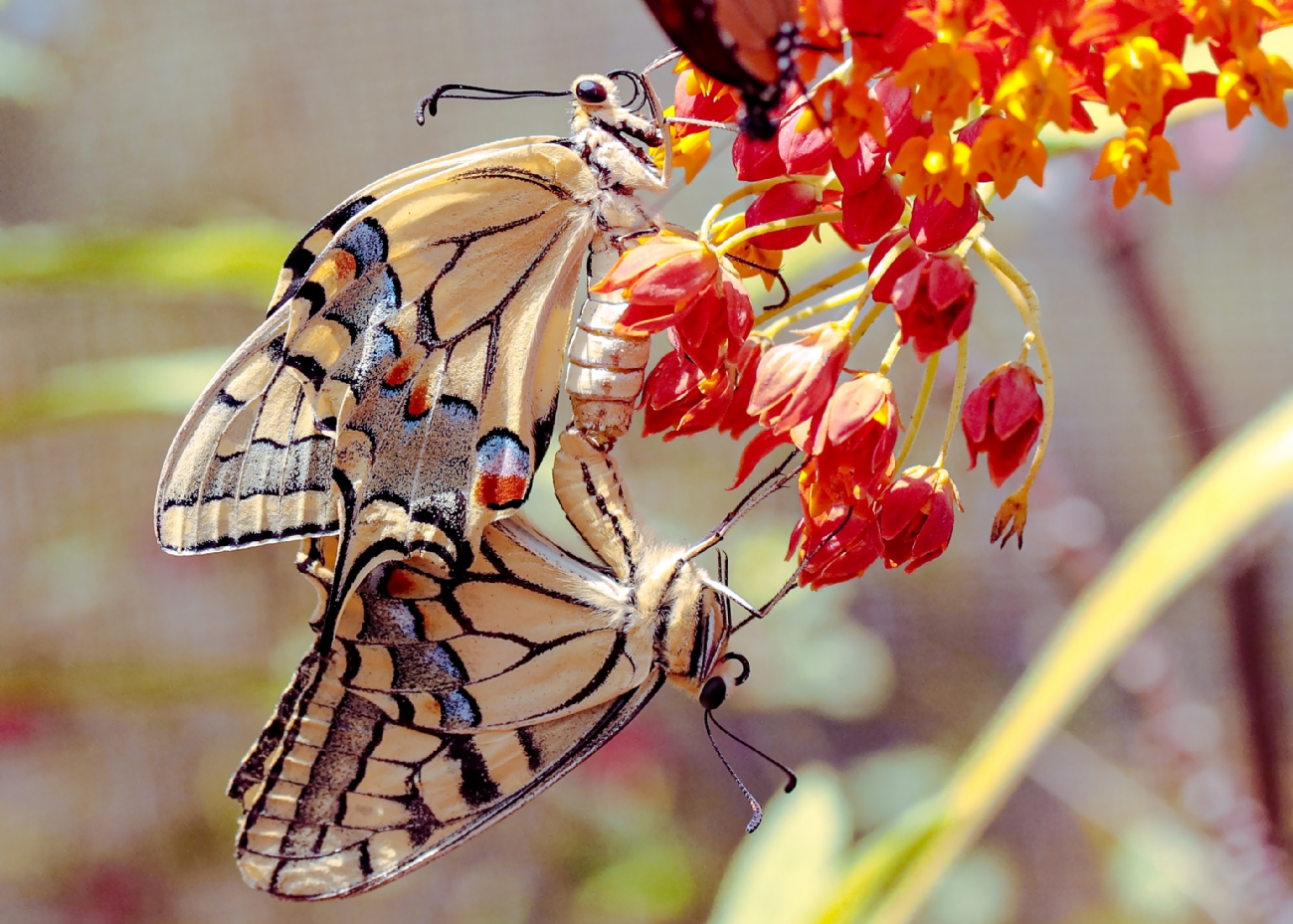 רשימת צלמים ואמנים באיזור | עמוד 1