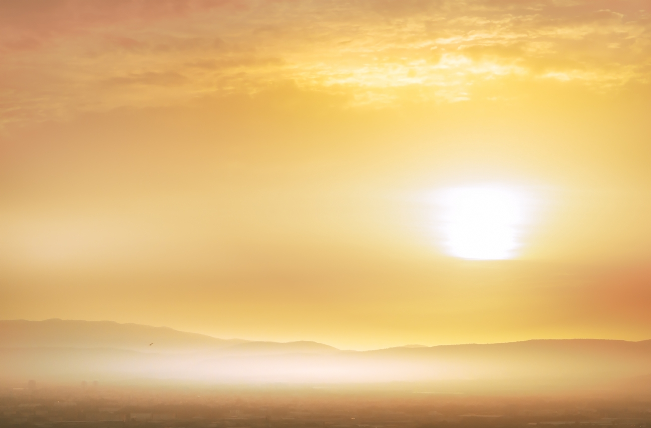 חדשות מעולם הצילום
