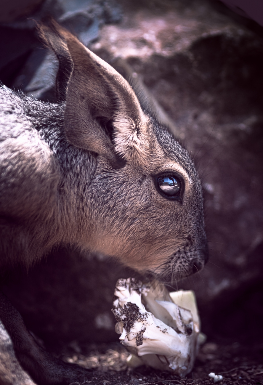 תמונות וצילומים לעיצוב הבית או המשרד | תמונות קנבס, זכוכית ועוד