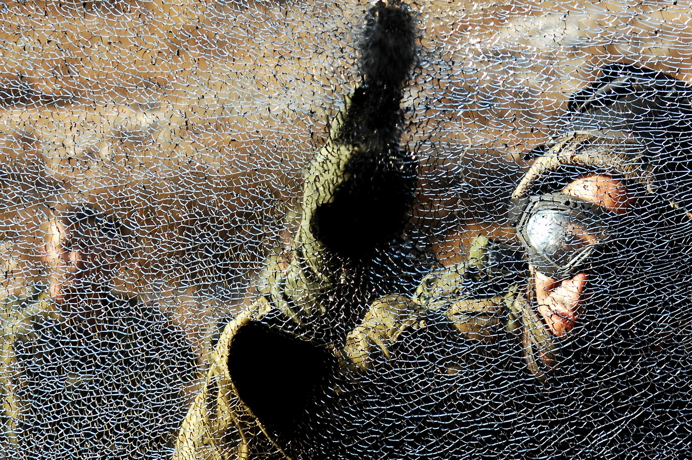 עמרי ביגץ | תמונות שצולמו במצלמה NIKON D2XS